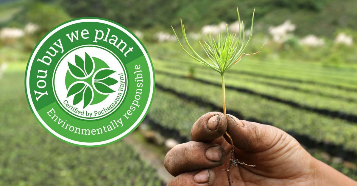 “You buy, we plant” program